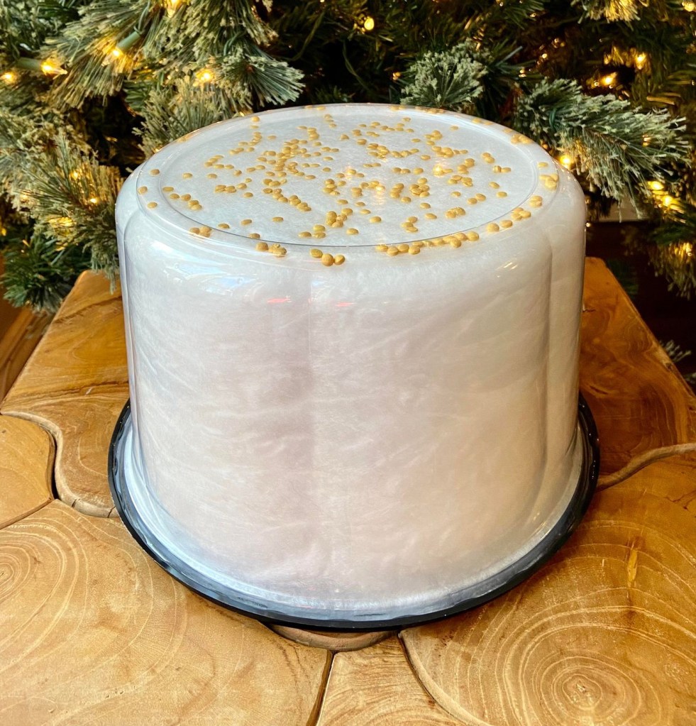 Sugar Spun Cakes – Luxury Cotton Candy & Gourmet Flavours